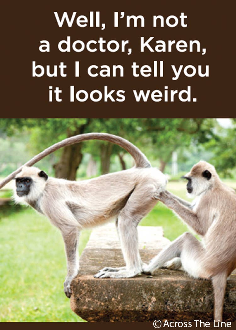 Magnet: Well, I'm not a doctor, Karen, – The Silly Goose Unapologetic ...