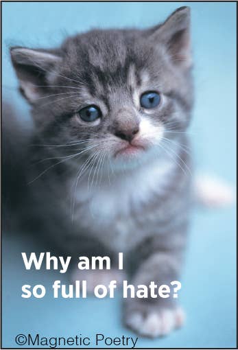 Magnet-Why am I so full of hate? – The Silly Goose Unapologetic Gifts ...